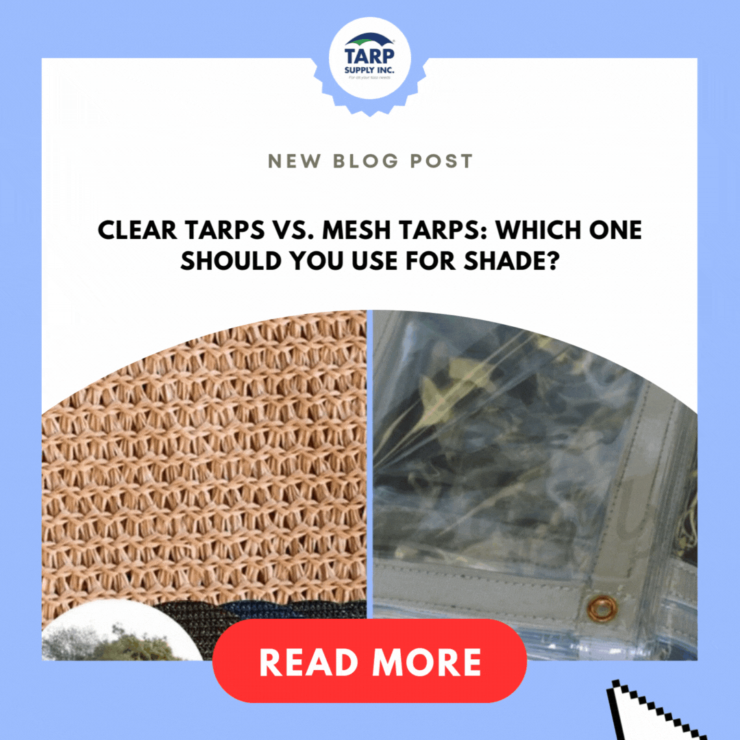 Clear vs. Mesh Tarps: Best Shade Option Explained