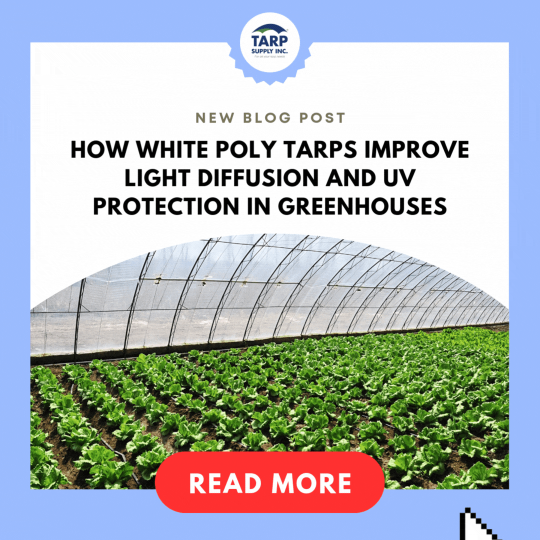 White Poly Tarps for Greenhouses: Light Diffusion & UV Protection