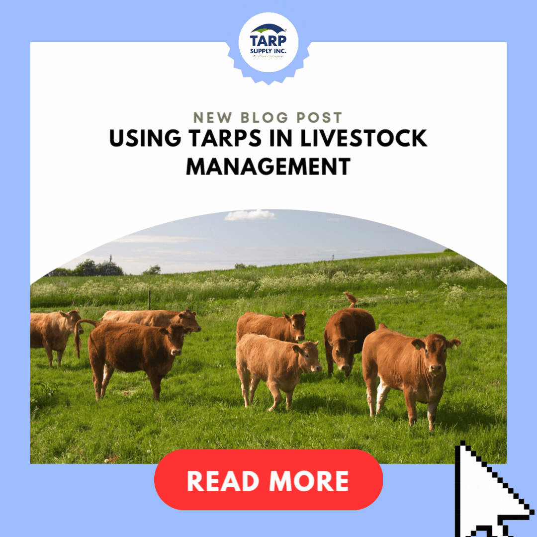 Using Tarps in Livestock Management | Tarp Supply Inc.