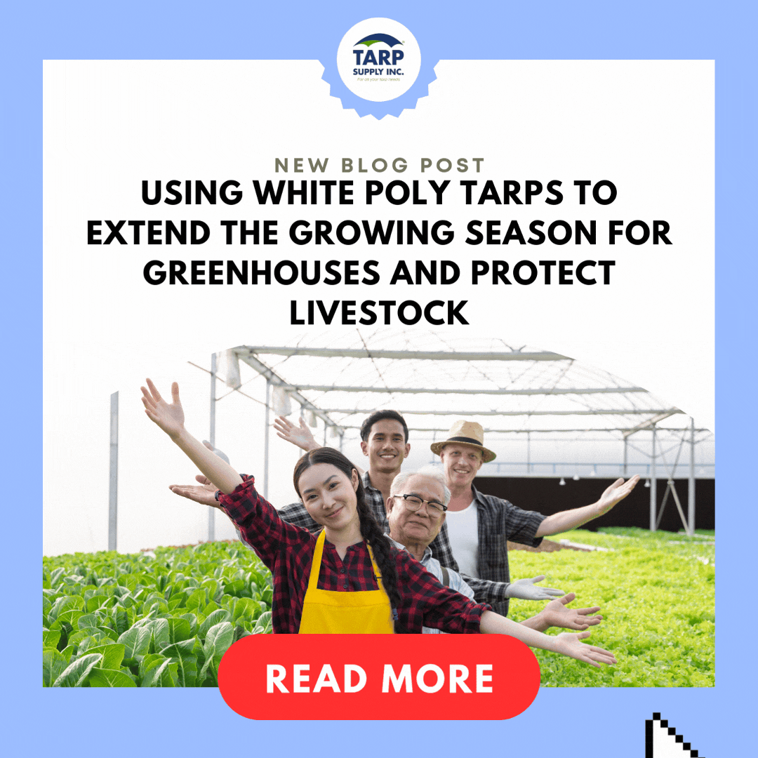 Extend Seasons & Shield Livestock with White Poly Tarps | Tarp Supply Inc.