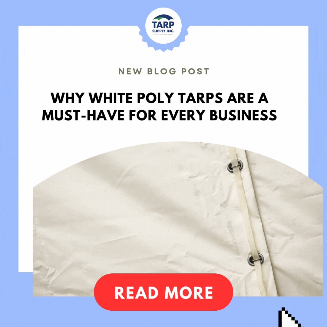 Why White Poly Tarps Are a Must-Have for Every Business