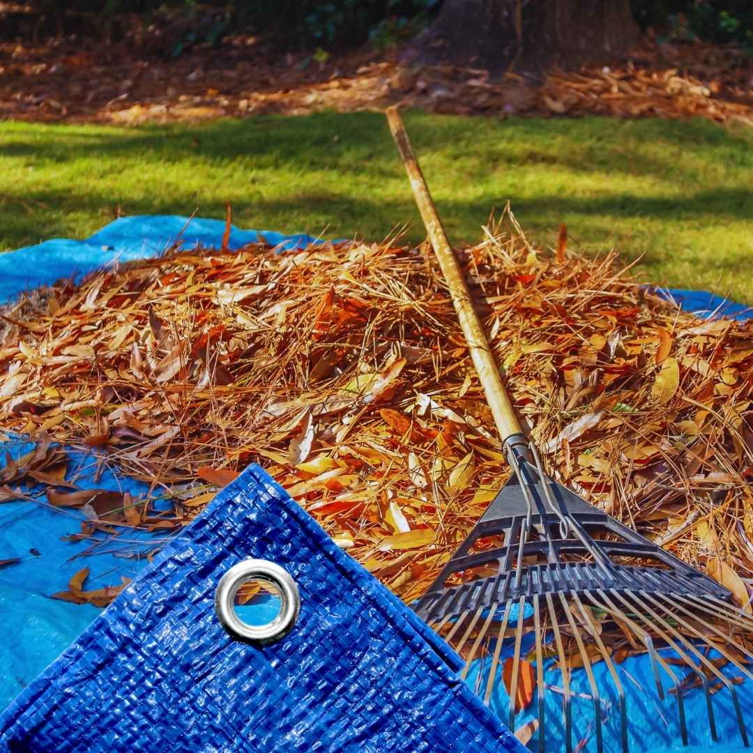 Tarps for Sale | Fall Season Sale