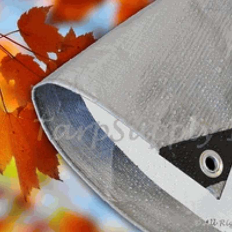 Heavy Duty Gray/WhitePoly Tarp 10'X10'